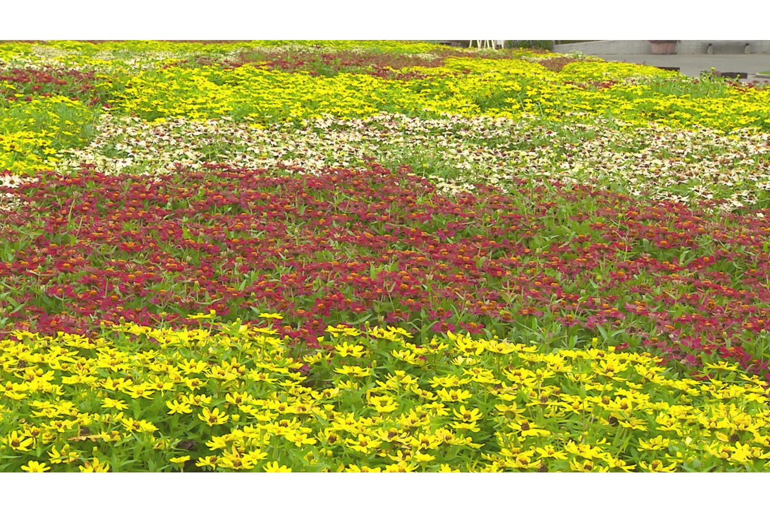 2022年10月13日放送 広島ホームテレビ『5UP!』|庄原観光ナビ 【公式】広島県庄原市観光情報サイト